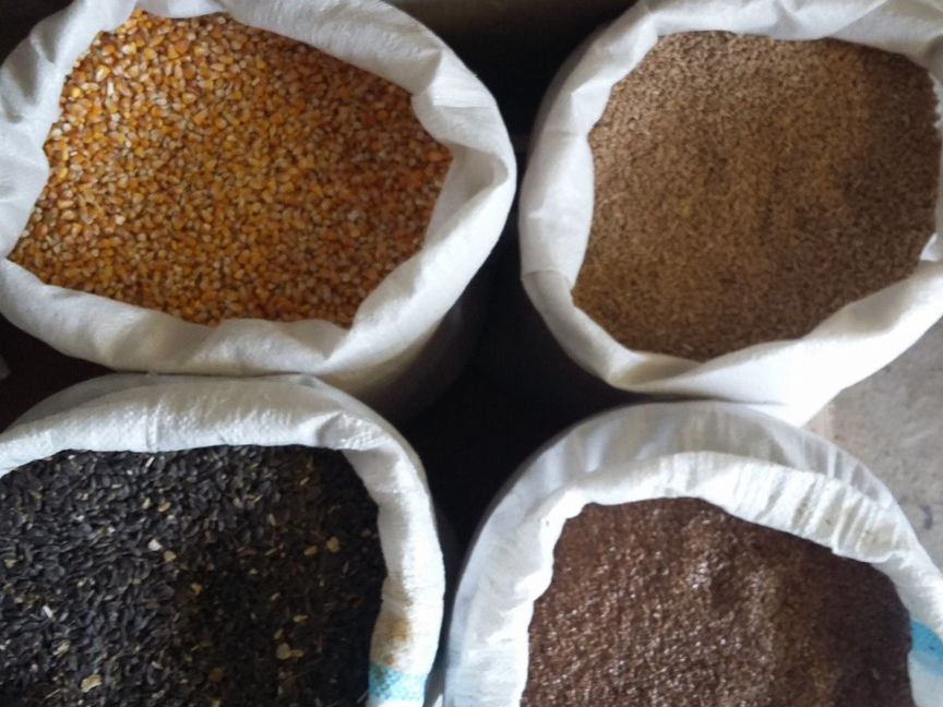 Пшеница,Кукуруза,Семечка,Лен