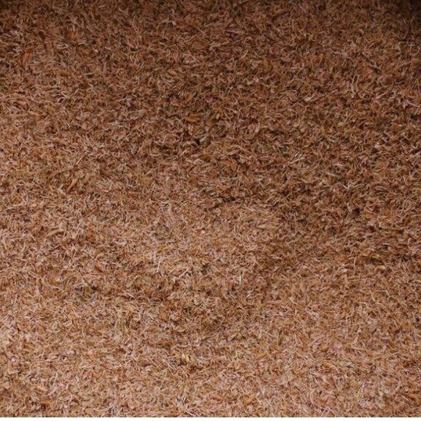 Гаммарус сушеный