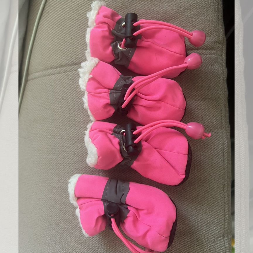 Обувь для маленьких собак