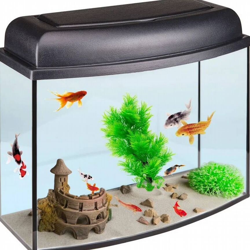 Аквариум 30 л. Полный набор для аквариумиста