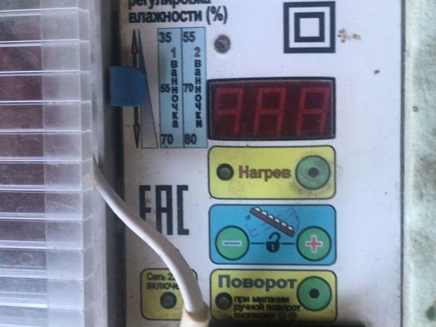 Инкубатор для яиц автоматический бу