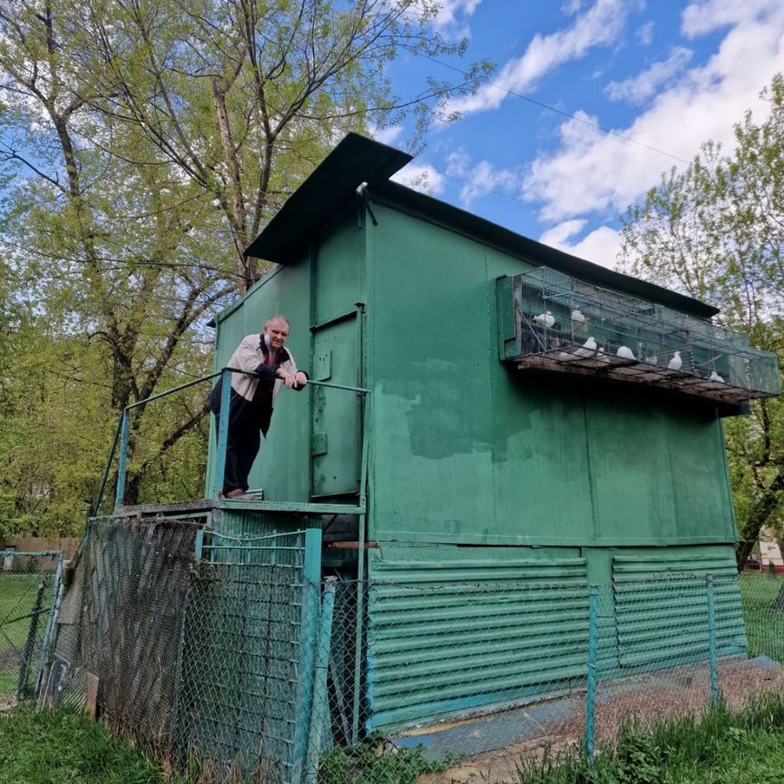 Продам голубятню