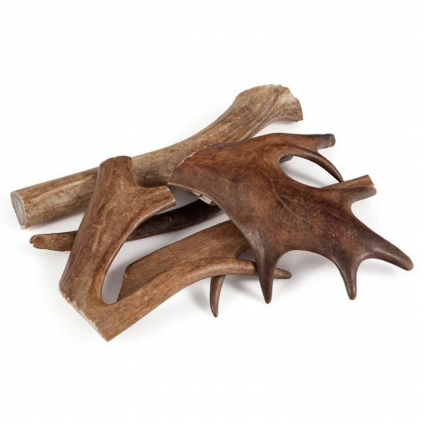 Вкусняшки для собак