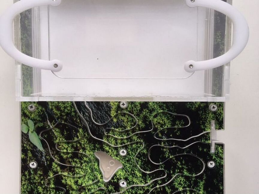 Муравьиная ферма anplanet мини