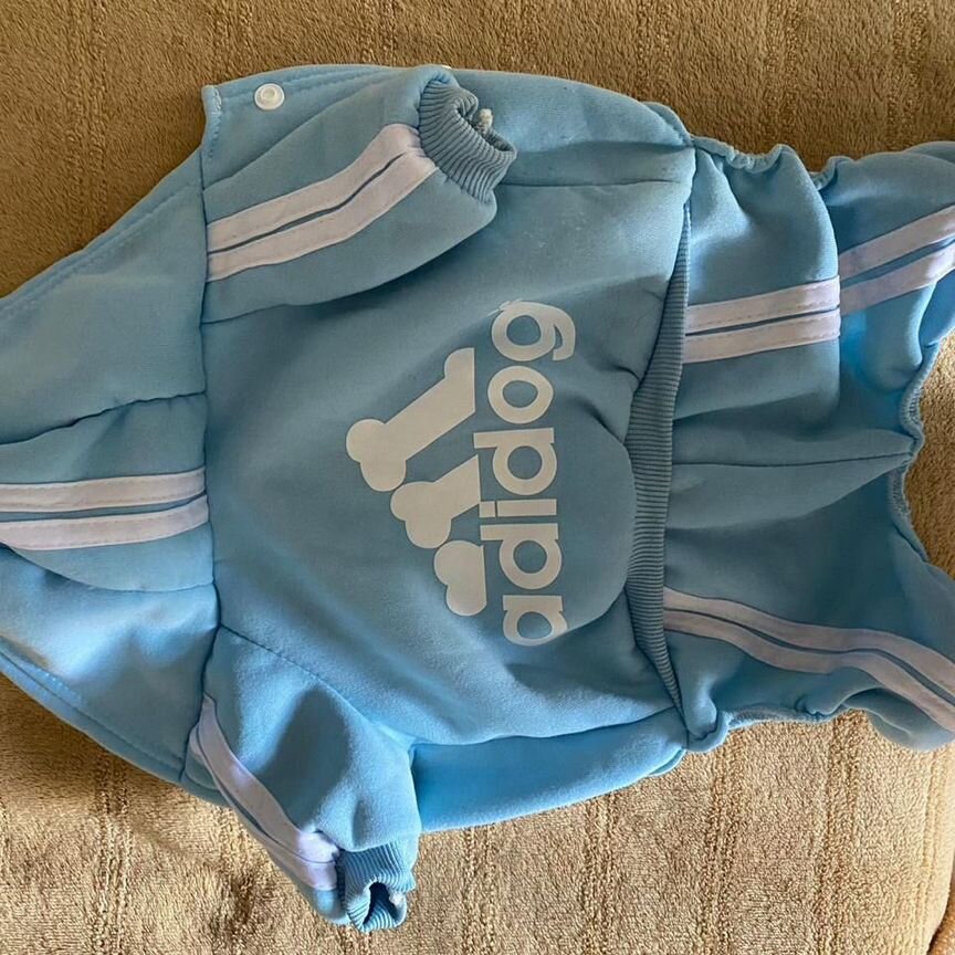 Костюм для собаки