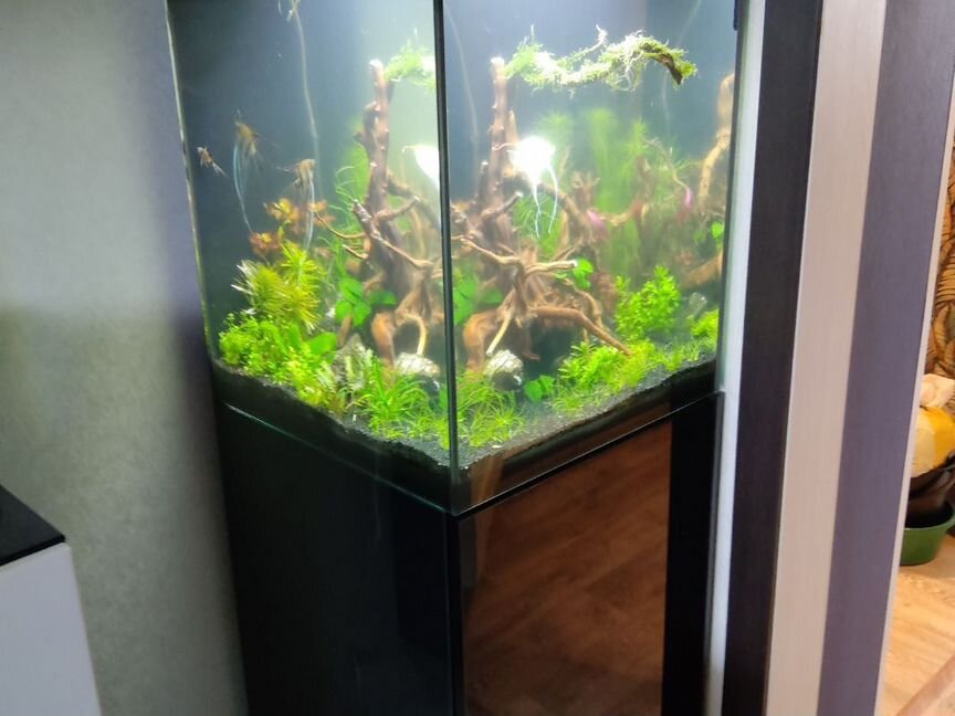 Аквариумный комплекс