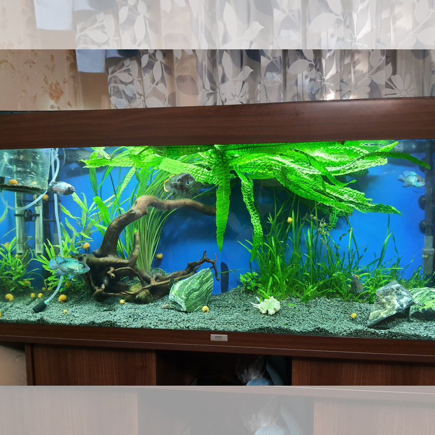 Аквариум с тумбой juwel 300