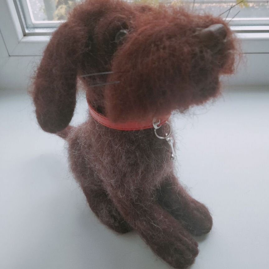 Курцхаар собака