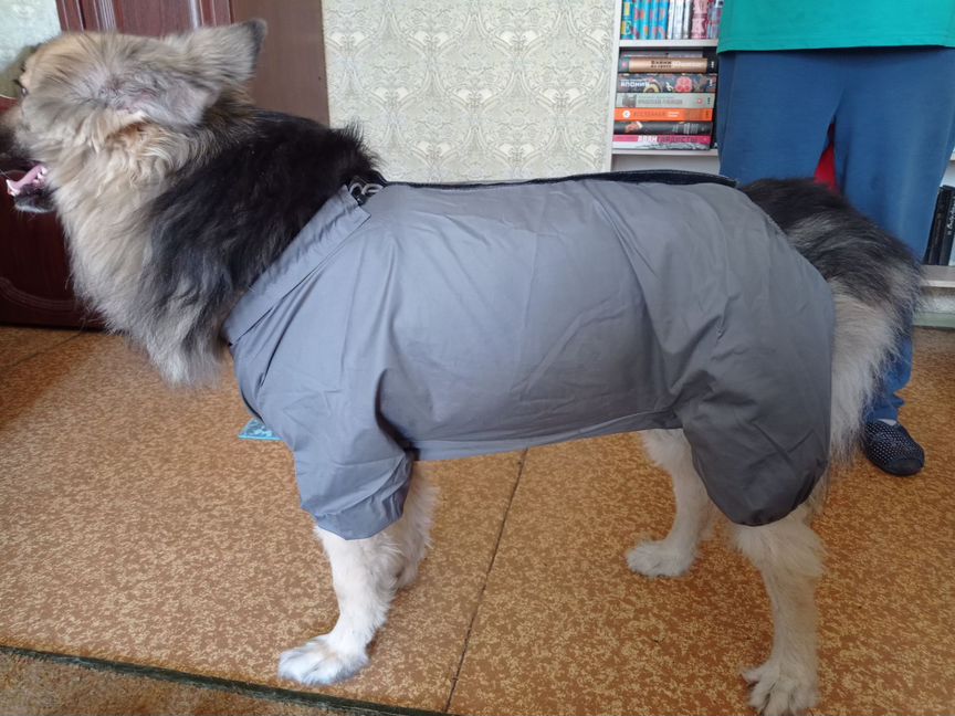 Дождевик для собак