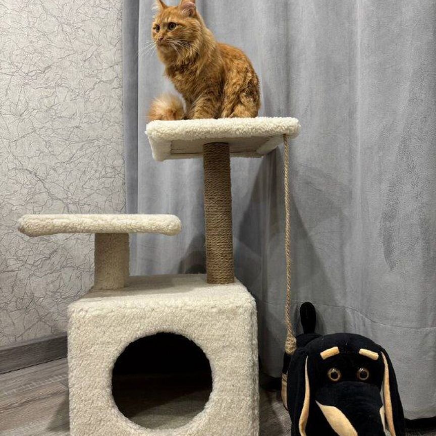 Домик для кошки с когтеточкой бу