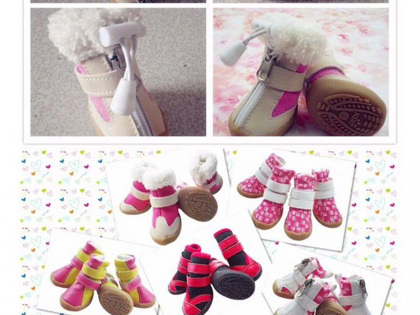 Сапоги для собак