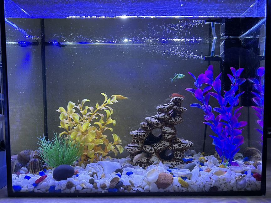 Аквариум,рыбки, лампа,насос