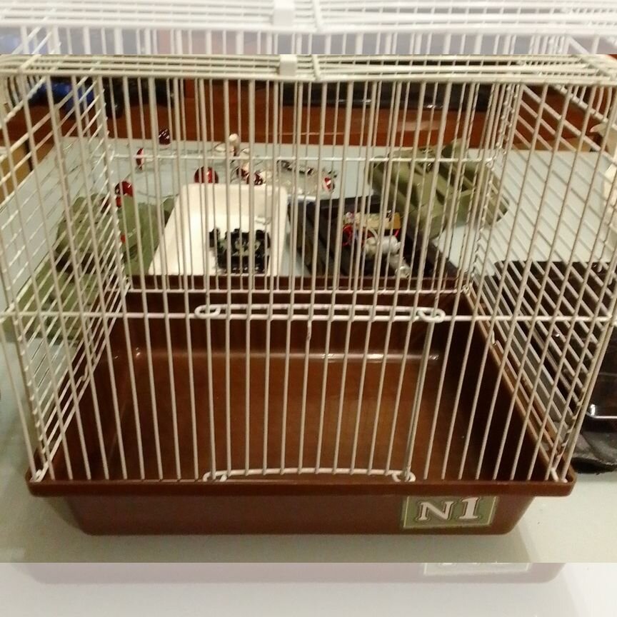 Клетка для грызунов