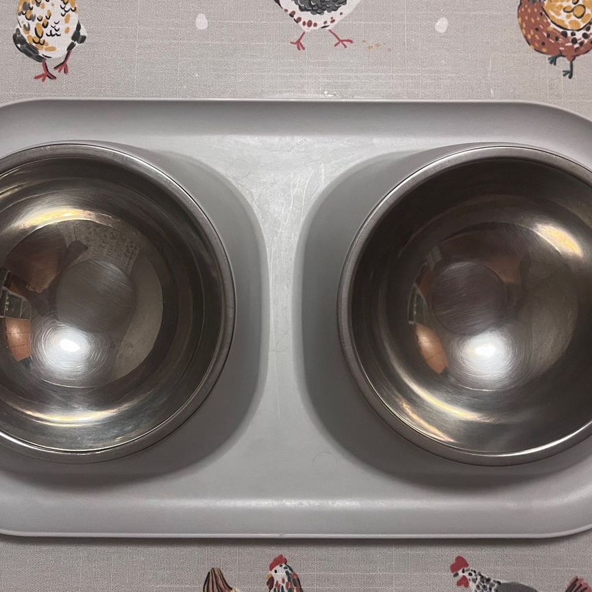 Двойная миска для кошек и собак