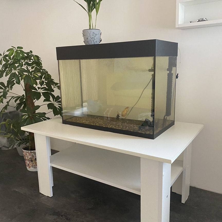 Аквариум со столиком