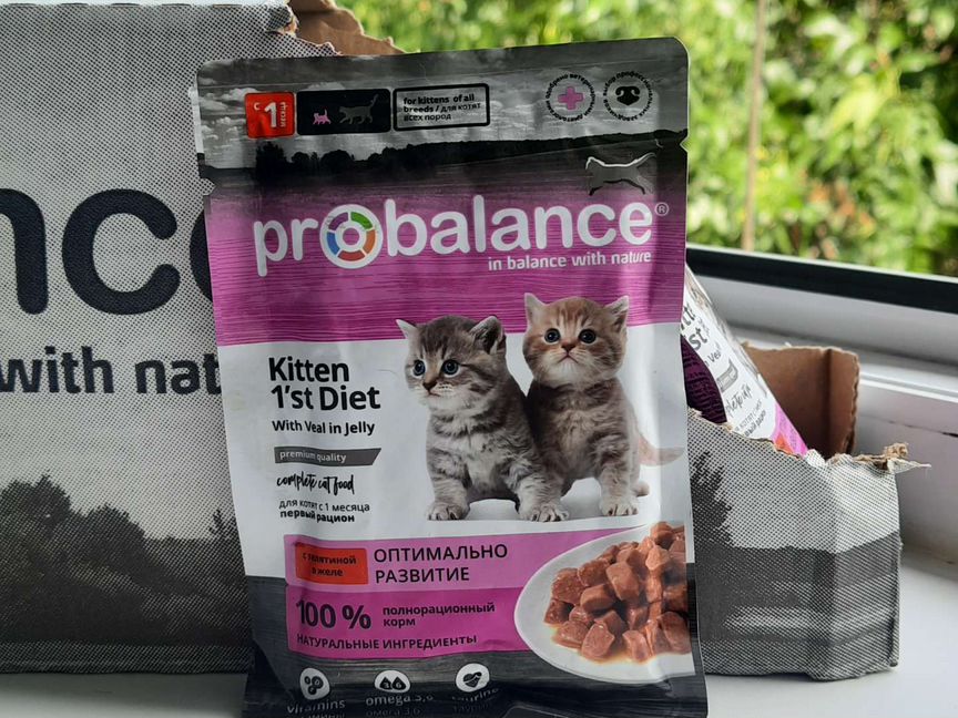Мягкий корм для котят