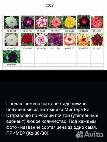 Семена адениума купить в Липецке | Товары для дома и дачи | Авито