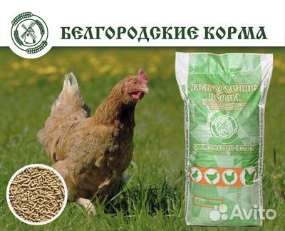 Комбикорм для кур несушек купить в Рязани | Животные и зоотовары | Авито