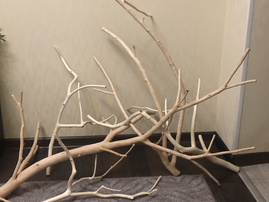 Коряги, ветки для террариумов