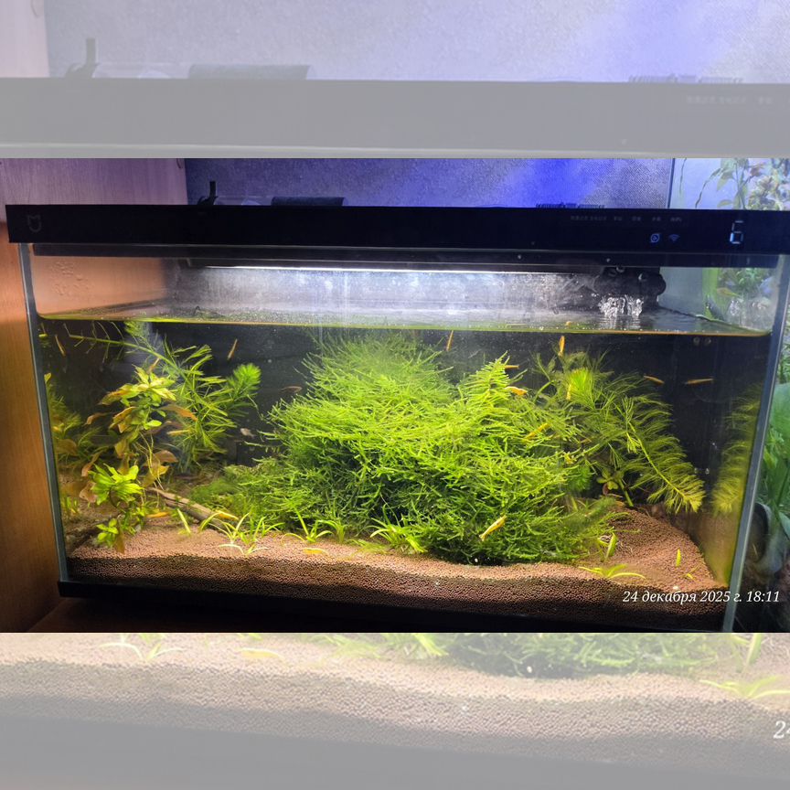Умный аквариум xiaomi 20 литров