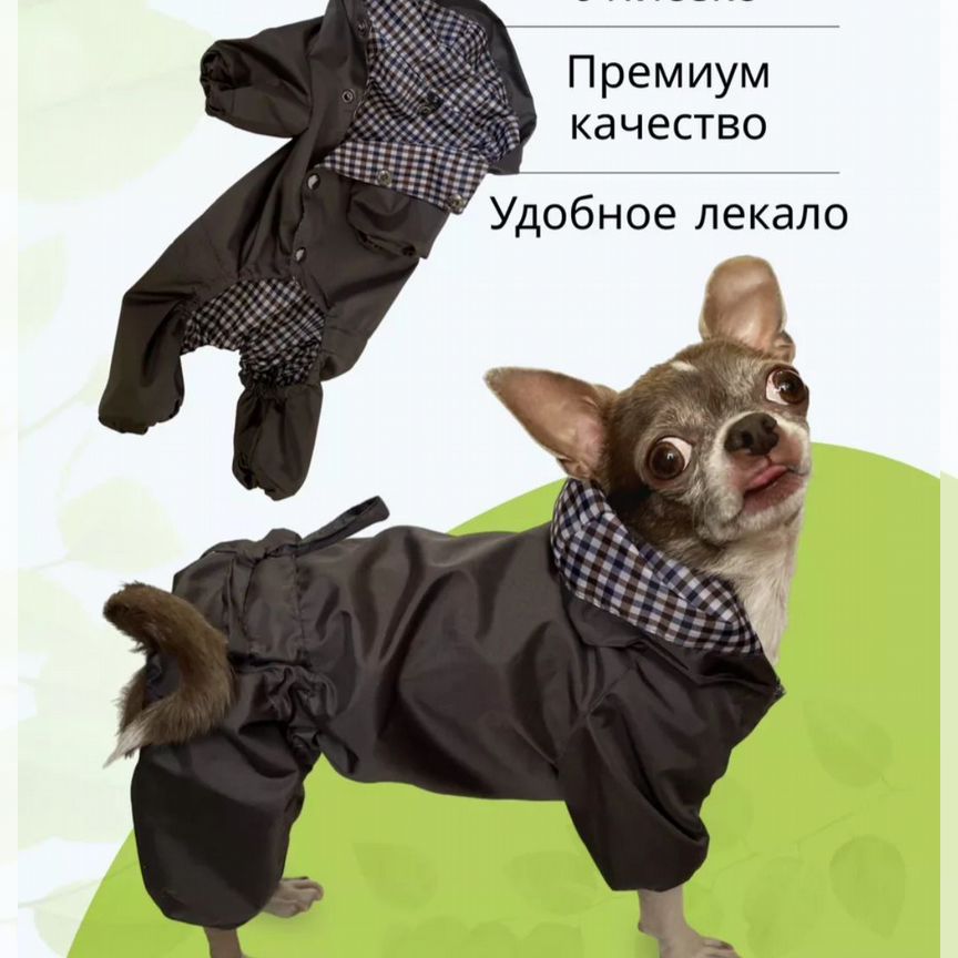 Дождевик для маленькой собачки