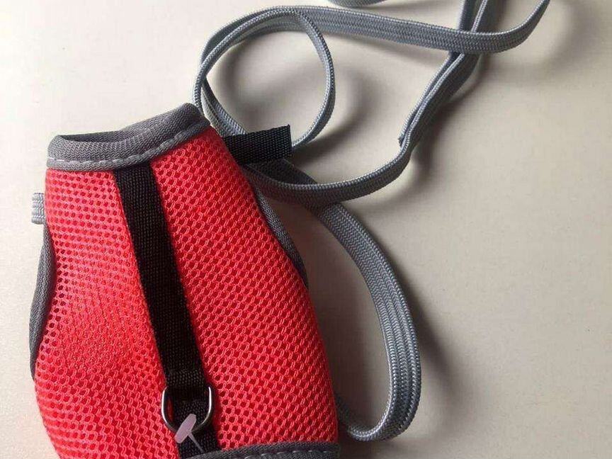 Шлейка для выгула крыс