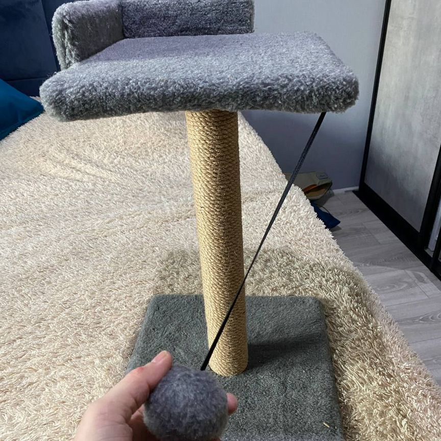 Когтеточка