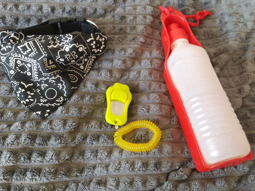 Товары для животных