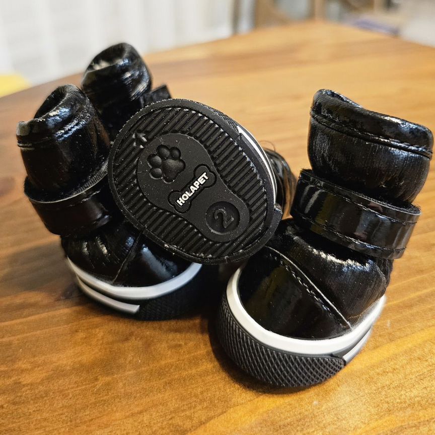 Ботинки для маленьких собак