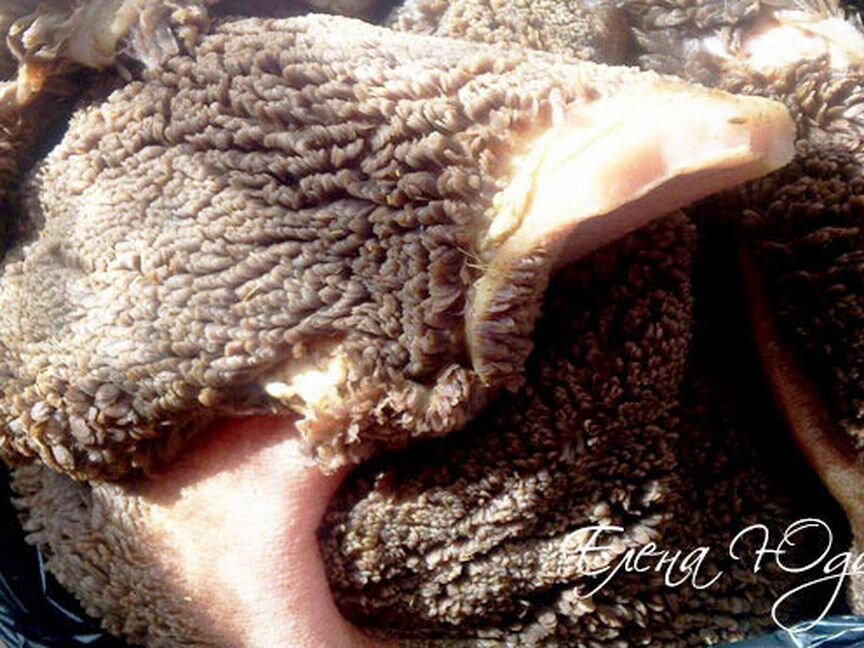 Продам говяжье мясо для собак