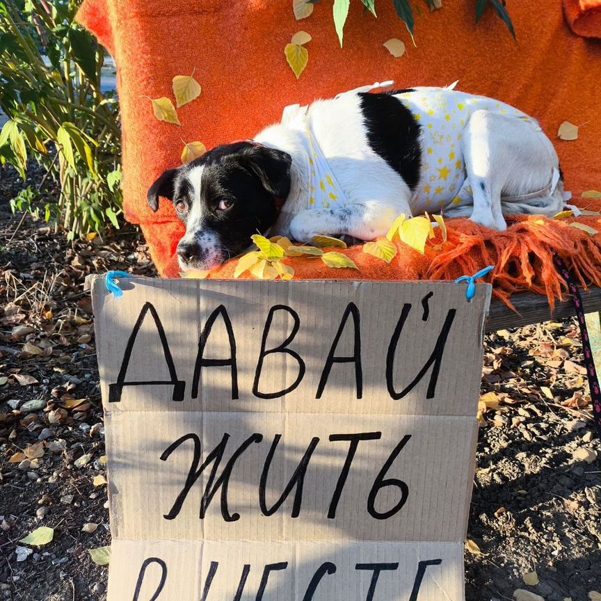 Давай жить вместе