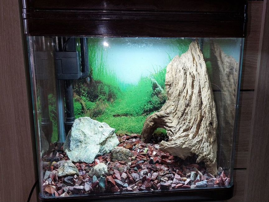 Аквариум