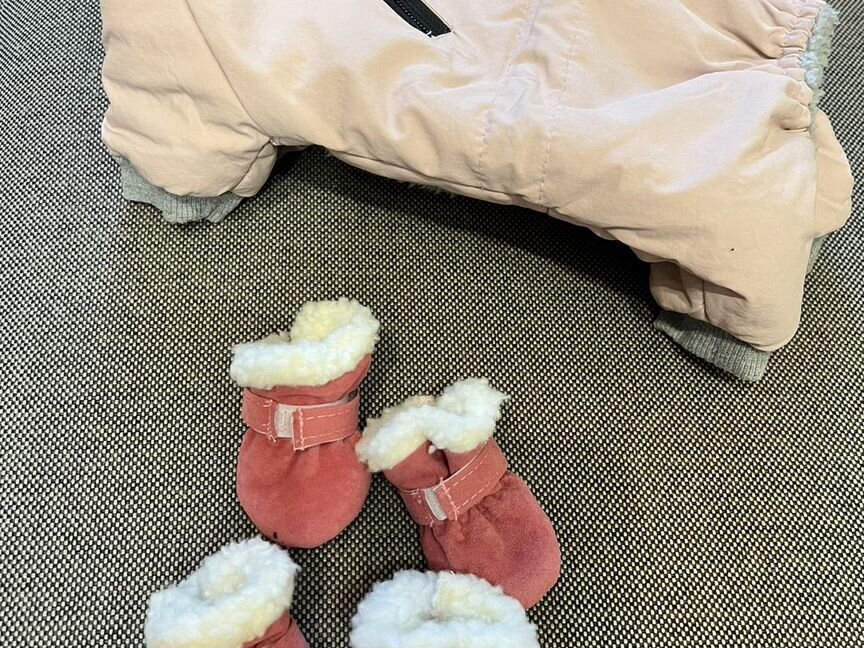 Комбинезон S и сапожки для собаки