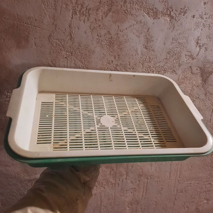 Лоток для кошки