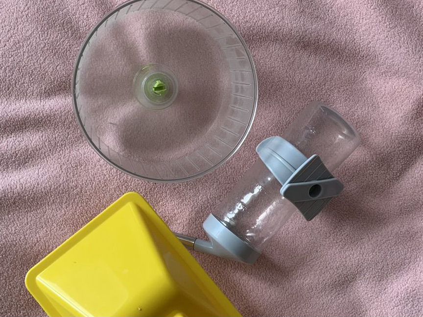 Предметы для грызунов