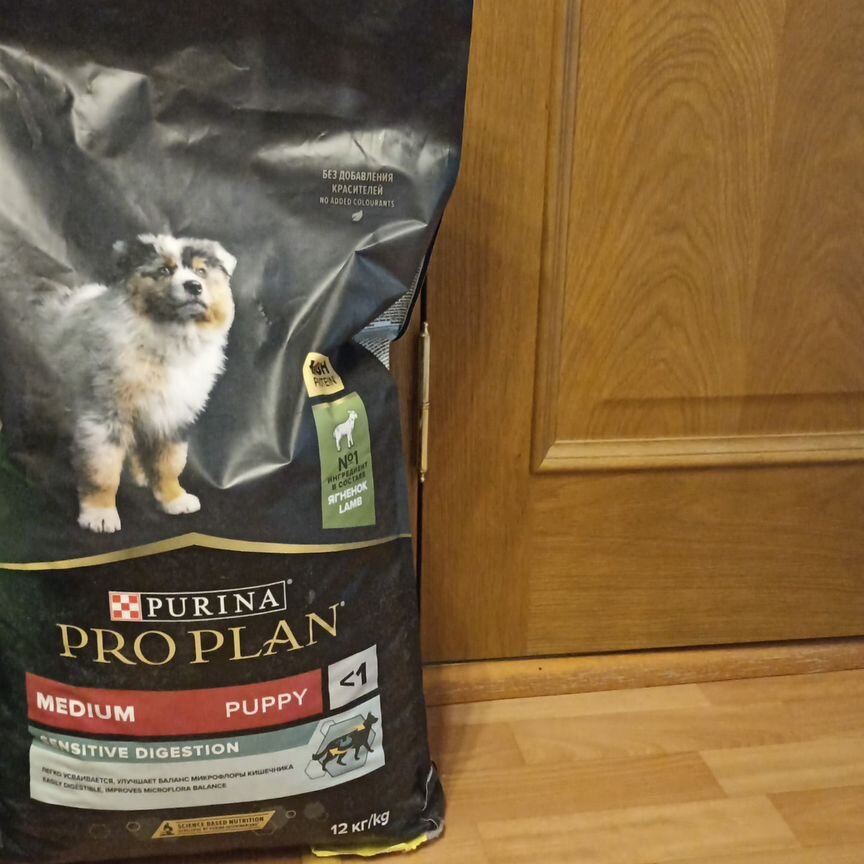 Корм для собак