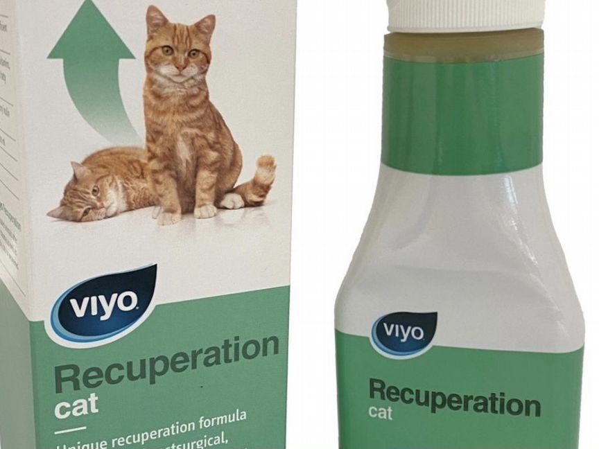 Viyo для кошек