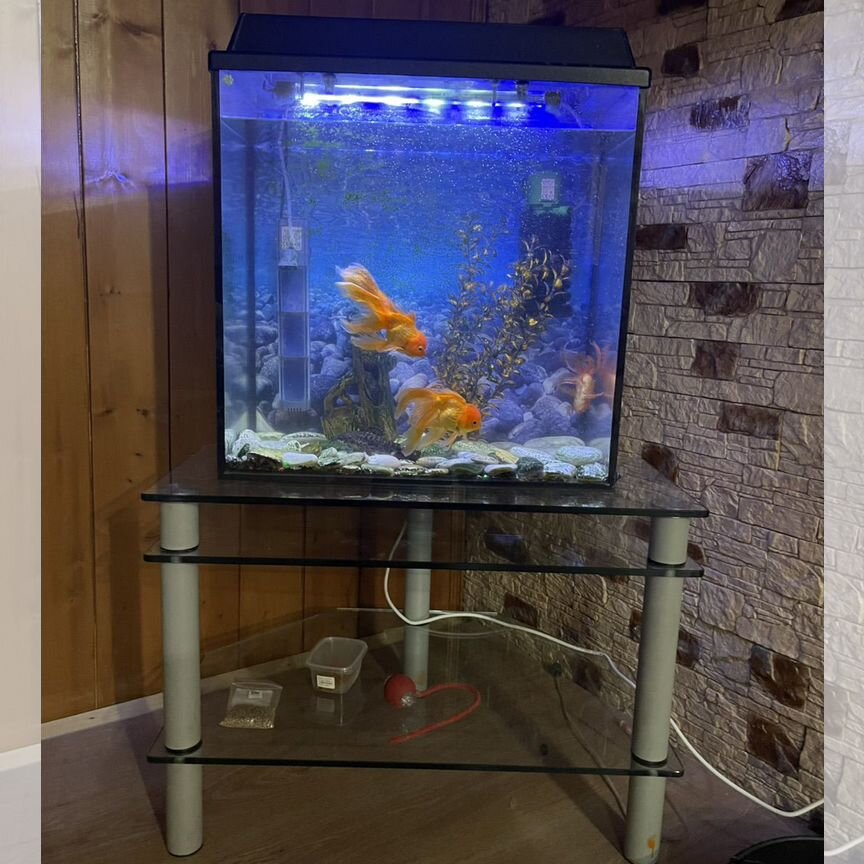 Аквариум 100 л с тумбой и рыбами