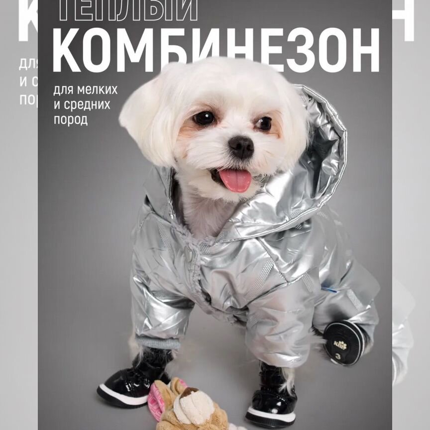 Новый комбинезон для собачки