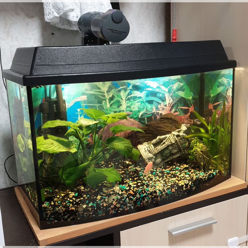 Аквариум 75 литров с рыбками и полным комплектом