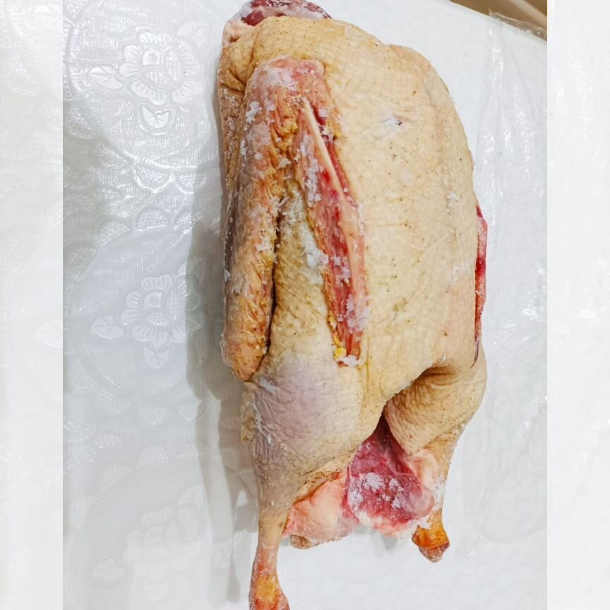 Гусь домашний на праздничный стол плода Линда