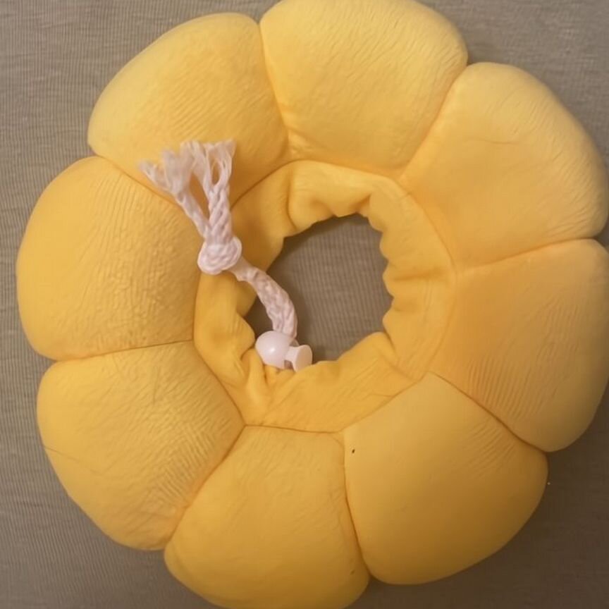 Воротник для кошек