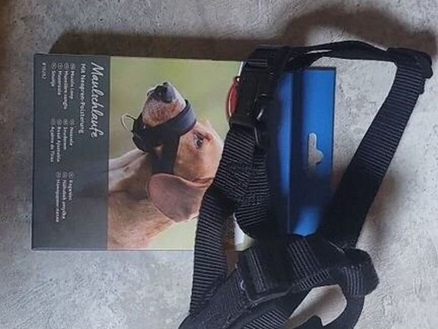 Халти (недоуздок) для собак