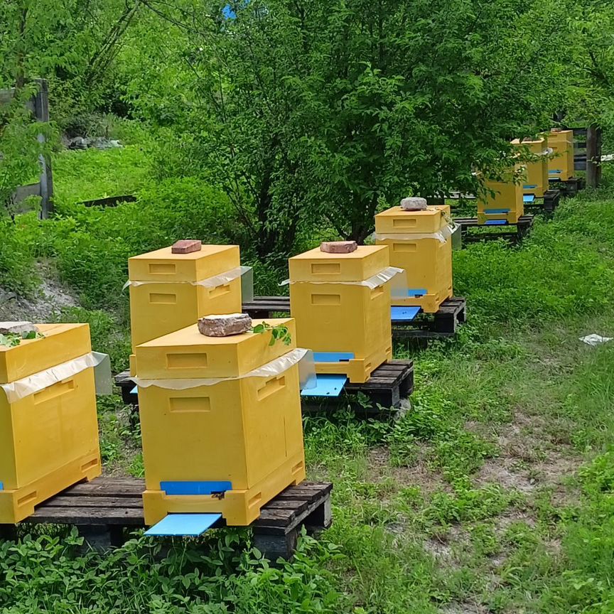 Ульи 6 рамочные ППУ