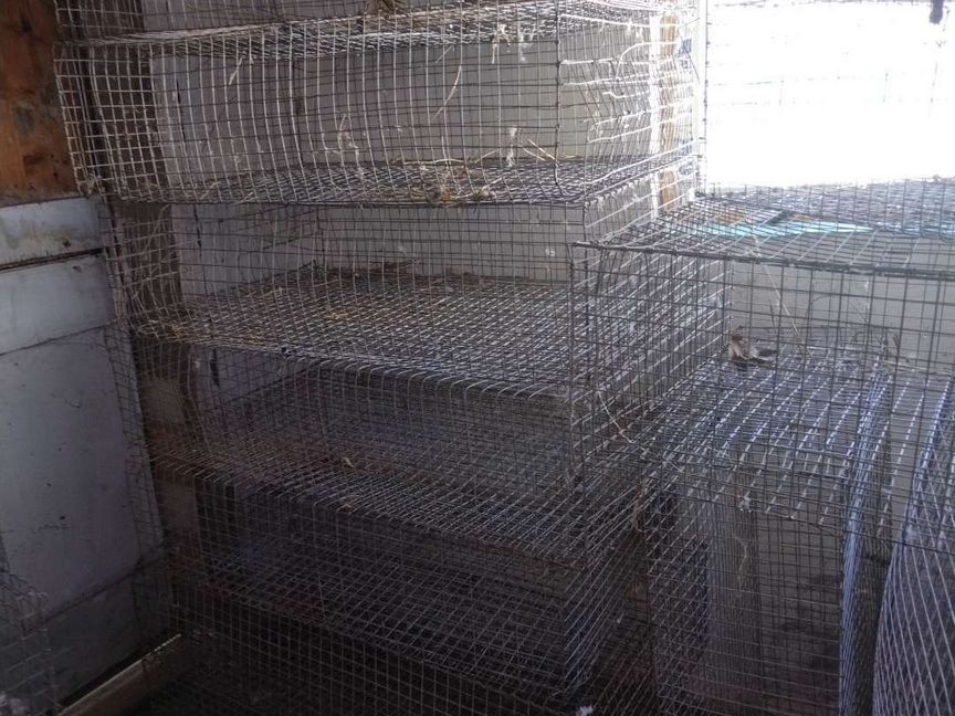 Контейнеры для транспортирования птицы