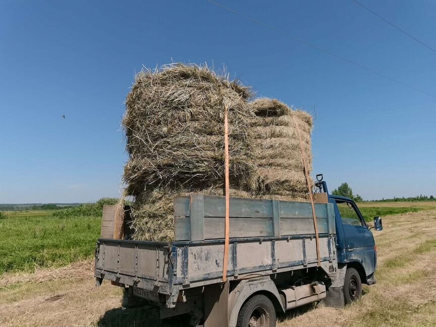 Сено в рулонах