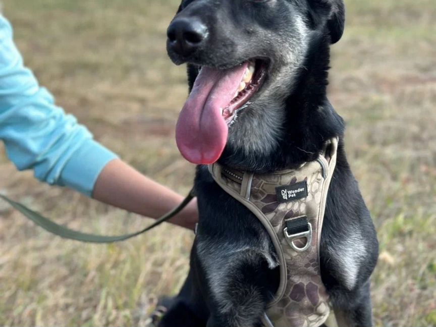 Нежнейшая девочка из приюта