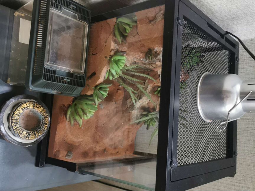 Террариум для рептилий (Хабитат Panteric)