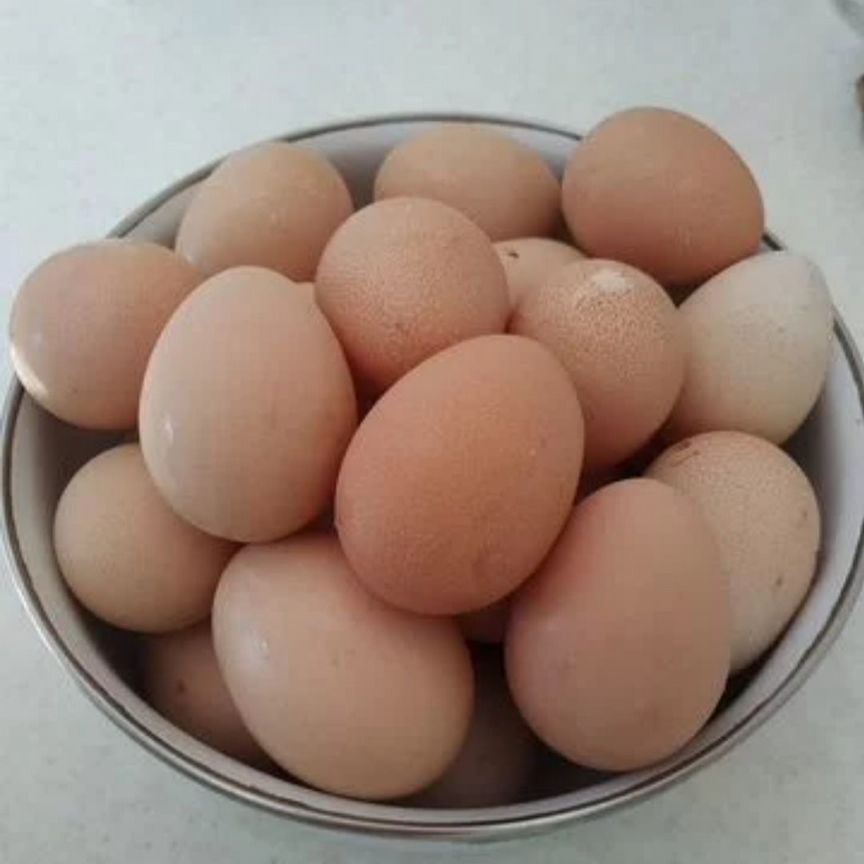 Продаются цесариные яйца