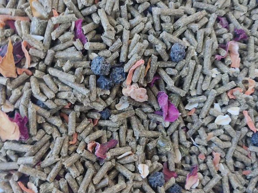 Сбалансированный корм для шиншилл